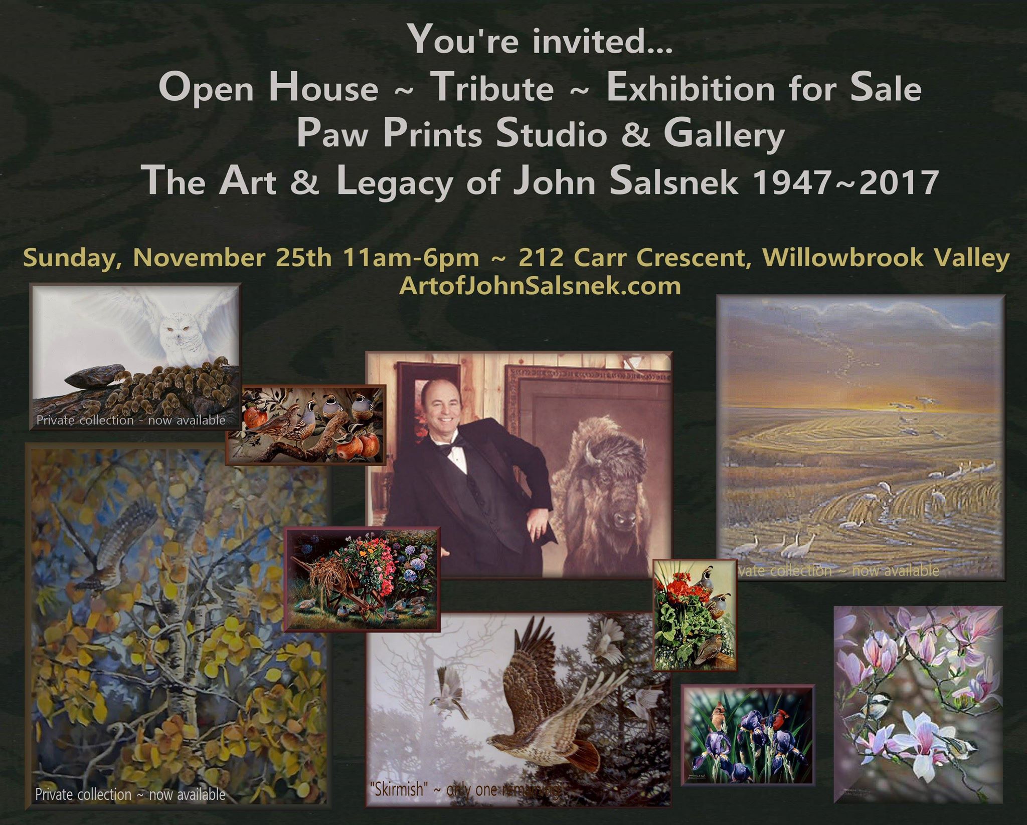 The Art & Legacy of John Salsnek